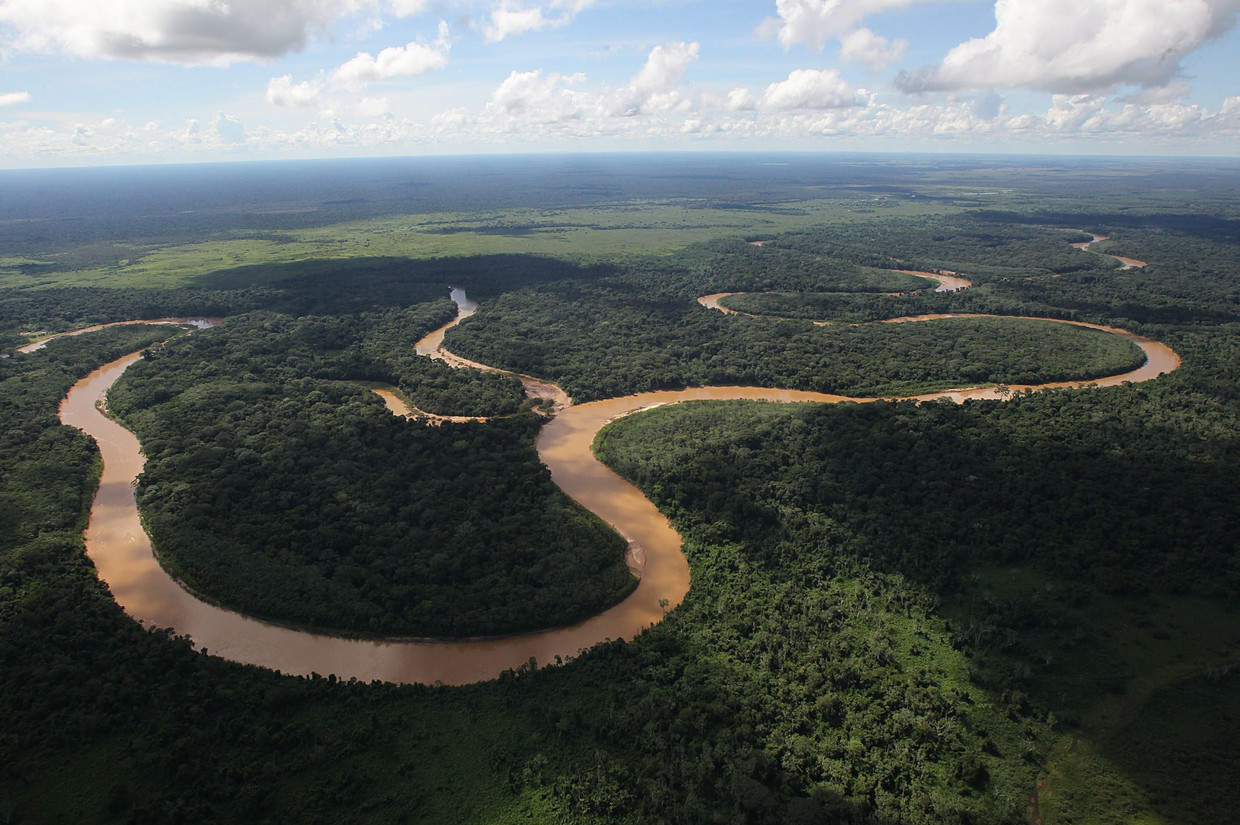 Groen licht voor wegen door Amazonewoud | Het Parool