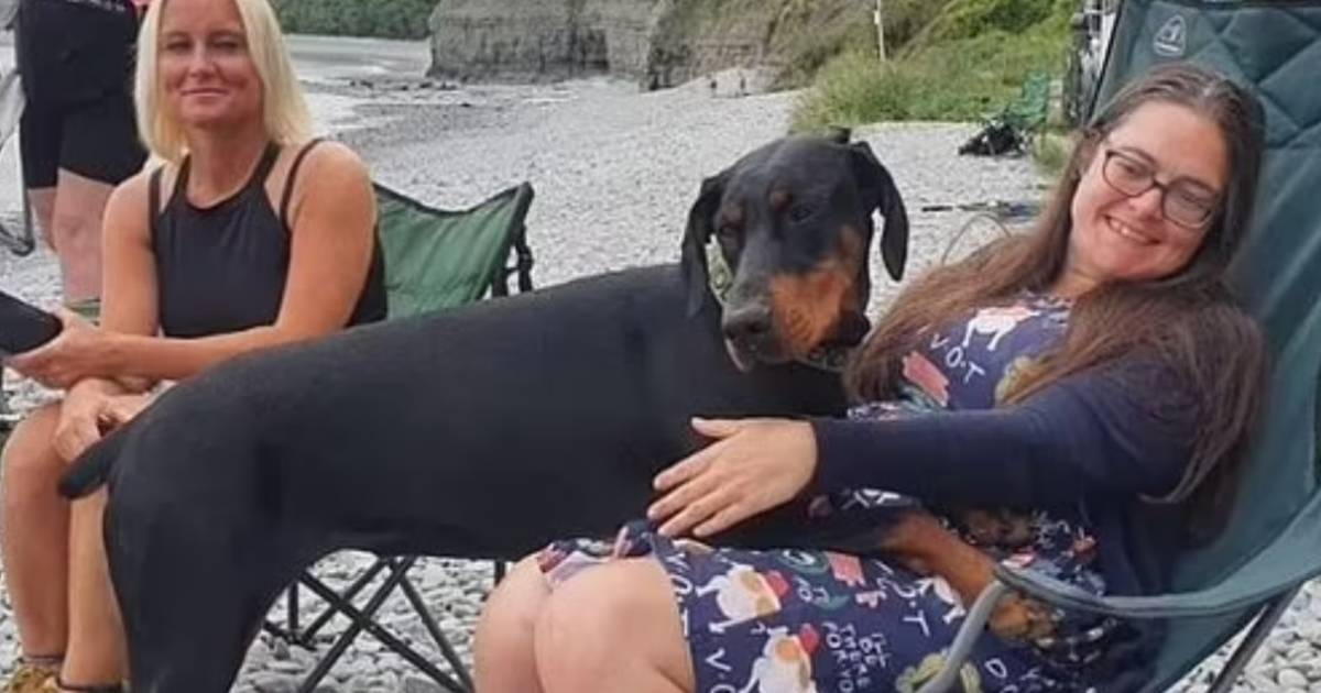 Eén kans op 22 miljoen: Lucy is ten dode opgeschreven, tot haar ...