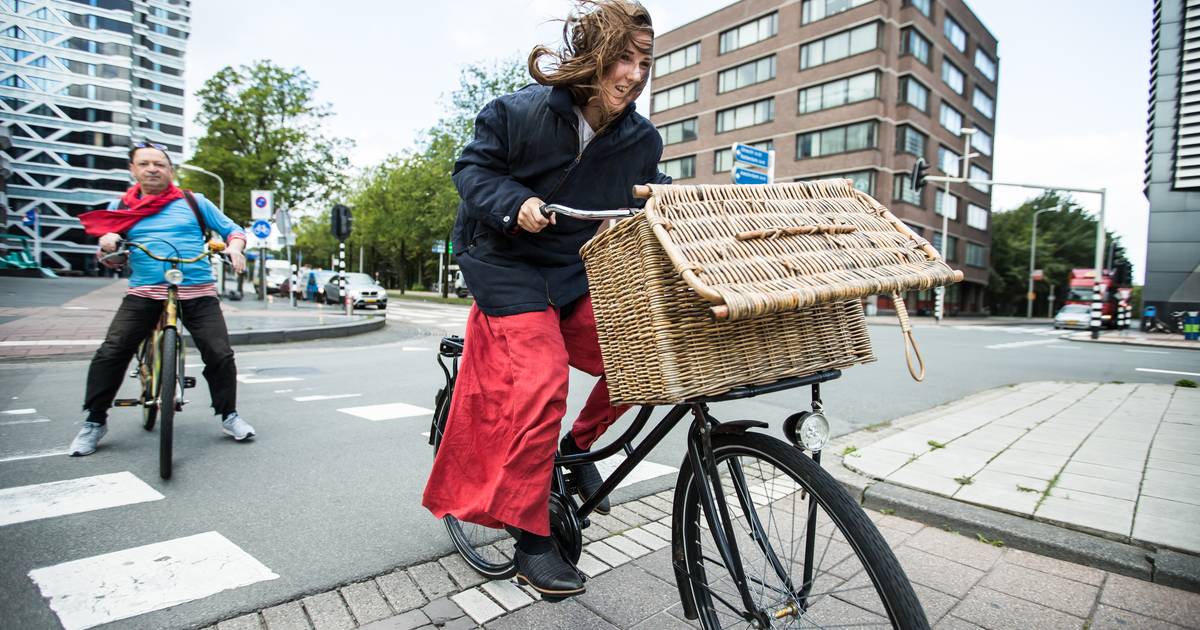 Automobilist vertikt het om op fiets of tram over te stappen: ‘Dan sta ...