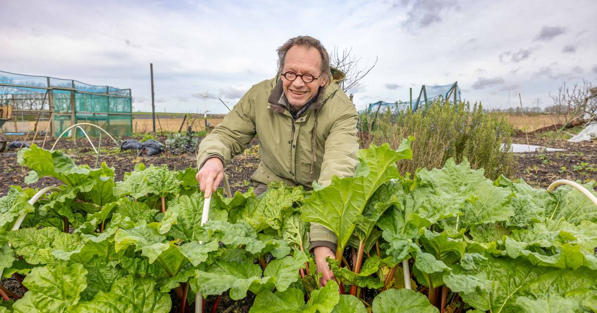Bloed tuinder bevat te veel PFAS: 'Wat als ik straks teelbalkanker heb ...
