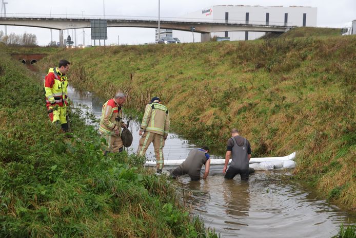 Beek zwaar vervuild met stookolie, brandweer werpt dammen op | Lokeren ...