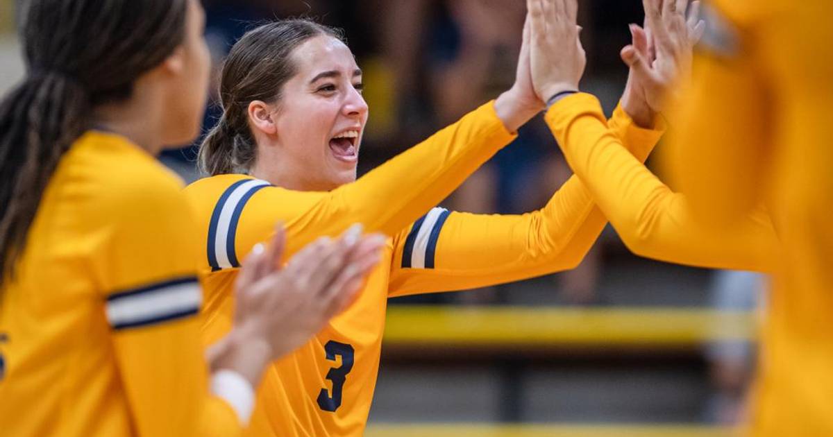 Van De Mortel naar North Carolina: volleybalster Liselotte Spoormakers ...