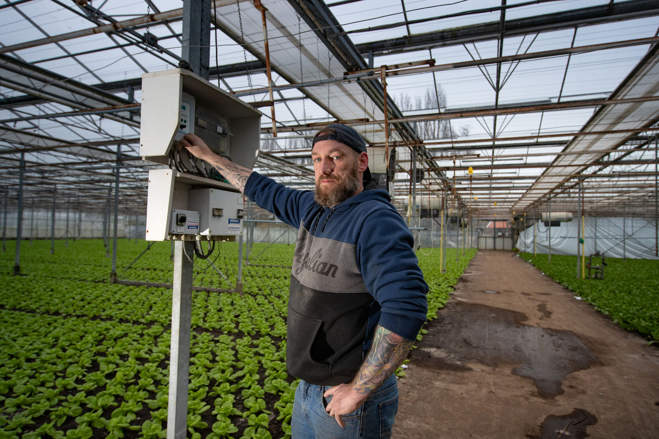 Tuinder Otten is vertrouwen kwijt na drie missers van gemeente Kampen ...