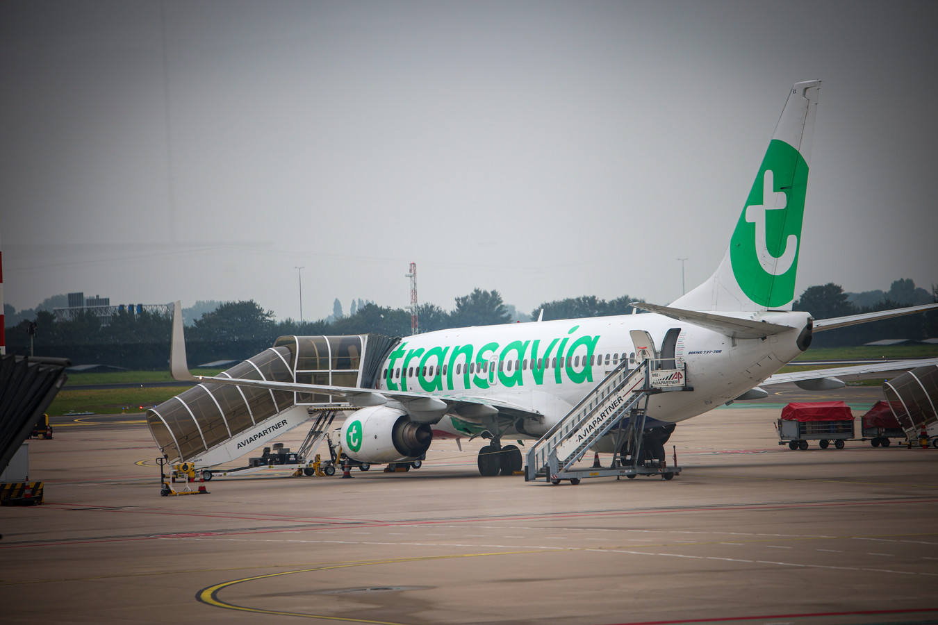 Transavia denkt na over toeslag voor handbagage aan boord | Foto | AD.nl