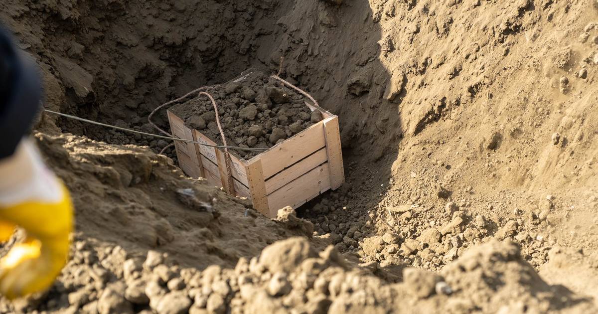 DOVO vernietigde vorig jaar 166 ton oorlogsmunitie in West-Vlaanderen ...