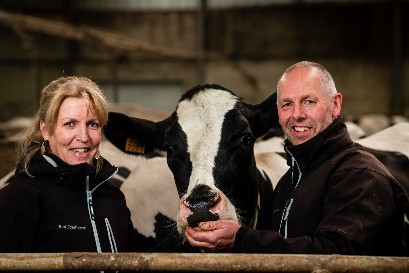 “Een koude mei is een gouden mei”: deze vijf turen dagelijks naar de ...