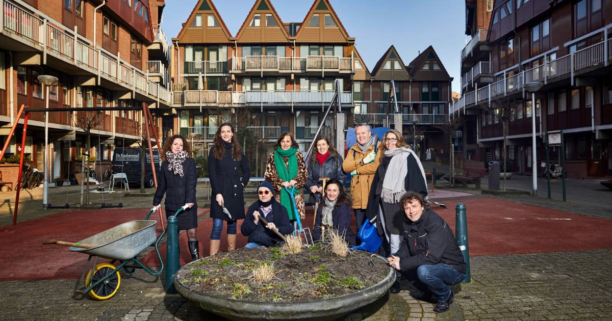 Het ‘Kabouterdorp’ gaat op de schop. Wat gaat er gebeuren? | Rotterdam ...