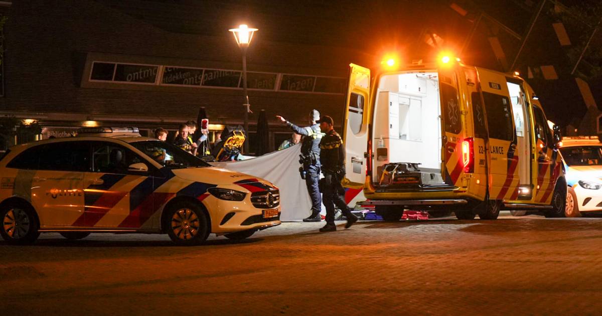 Jongen (16) overleden na steekpartij, verdachte aangehouden ...