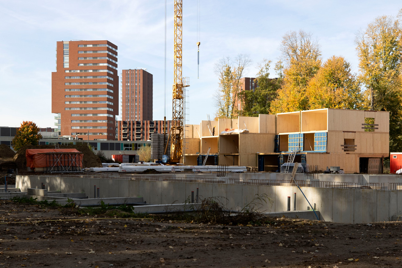 Hout voert de boventoon bij woningen in groene ‘beeldentuin’ Bosrijk in ...