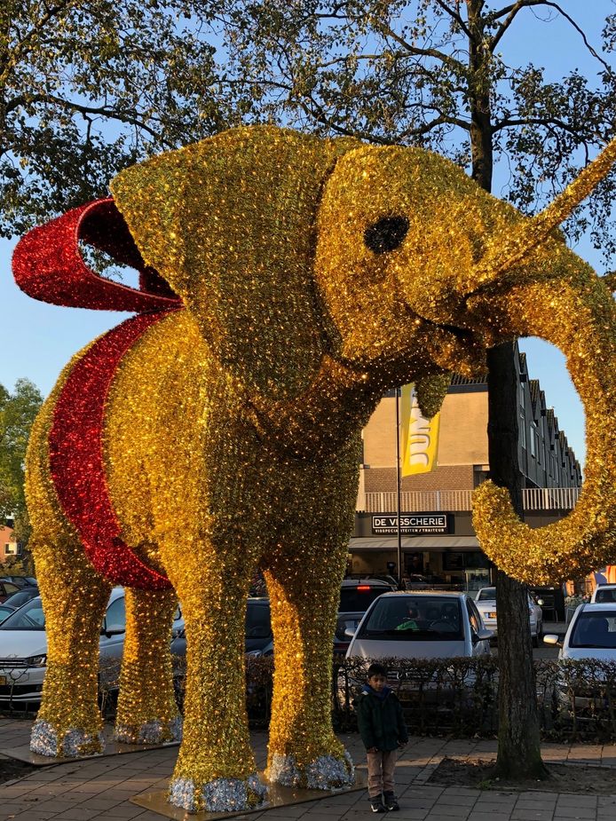 Hallo Jumbo: de grootste verlichte olifant ter wereld staat in Uden ...
