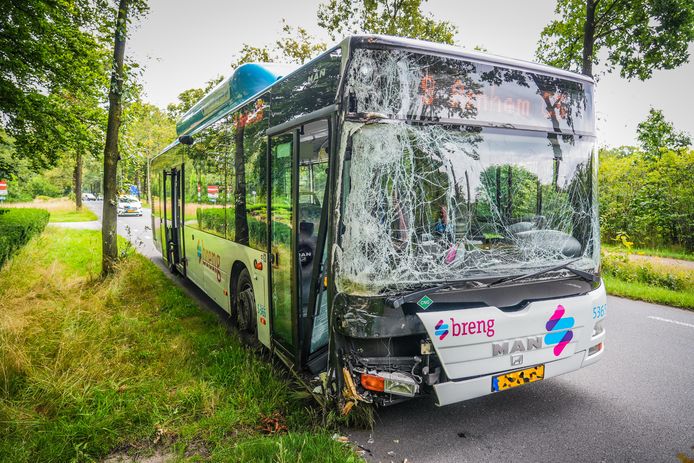 Lijnbus ‘moet uitwijken voor hond’ en knalt tegen boom | 112 nieuws Arnhem | gelderlander.nl