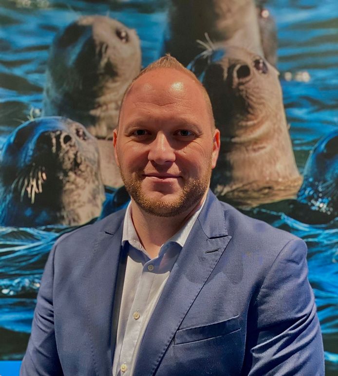 Zeehond Billy wordt vrijgelaten na grote opruimactie op het strand van ...