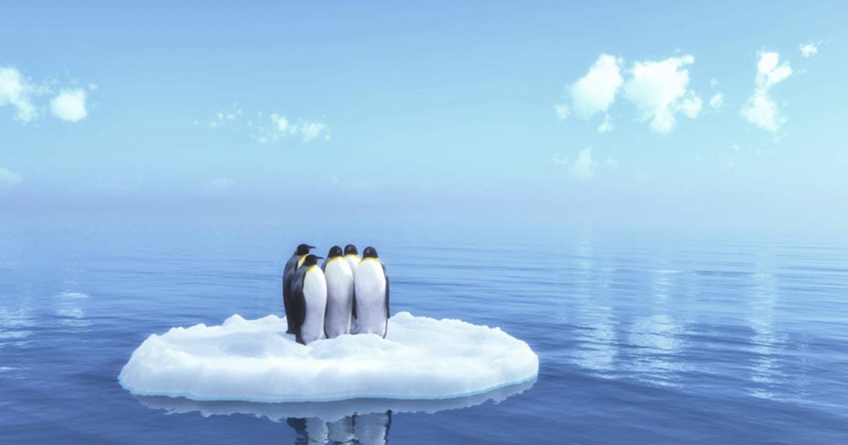 IJs op Zuidpool smelt steeds sneller, zeeniveau stijgt meer dan ooit ...