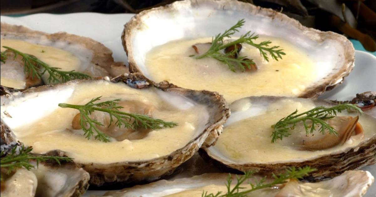 Nieuwe Zeeuwse oesters zijn lekker maar duur | Nina kookt | hln.be