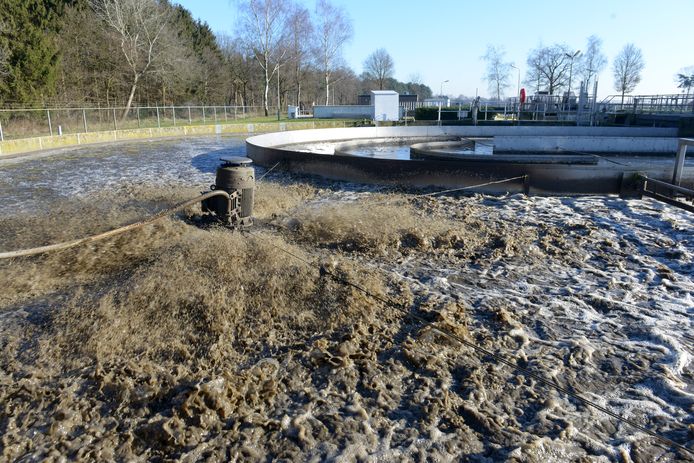 Zo strijdt waterschap Brabantse Delta met nieuwe techniek tegen ...