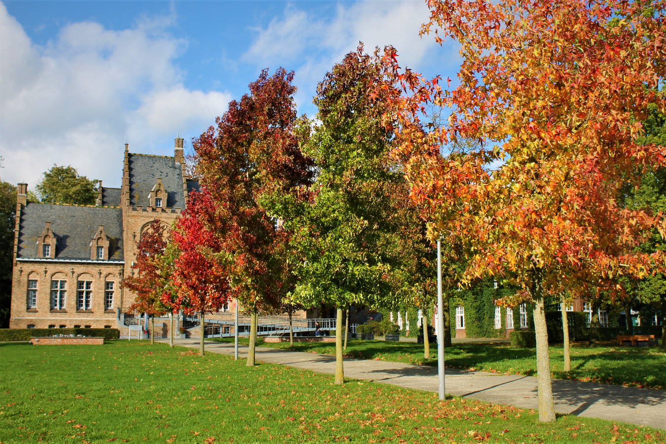 MIJN DORP. Joost Decorte van ‘Gits aan de Spits 2.0’: “Mijn hart bloedt ...
