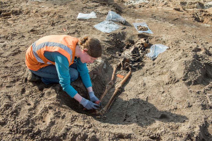 Skeletten En Wapentuig Gevonden Bij Archeologische Opgraving In Elspeet