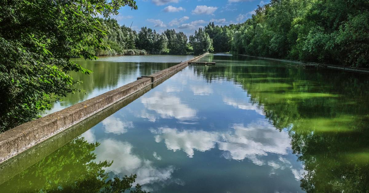 Vlasakker omvat 17 hectare nieuw, volwaardig stadsgroen in Kortrijk ...