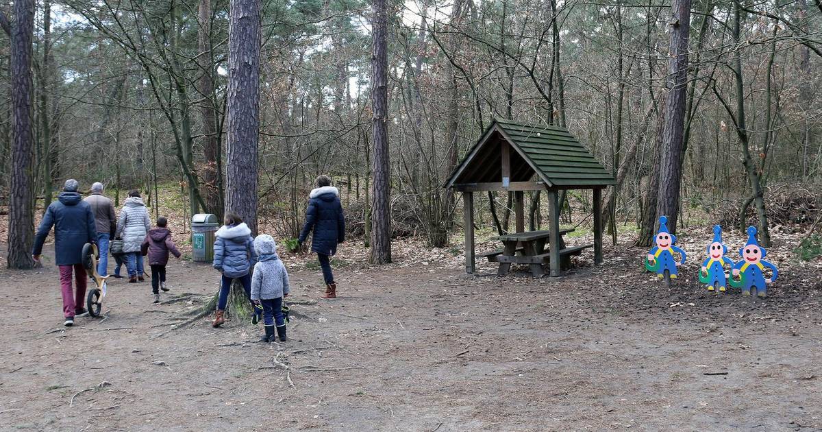 Man grijpt kind aan Kabouterbos | Kasterlee | hln.be