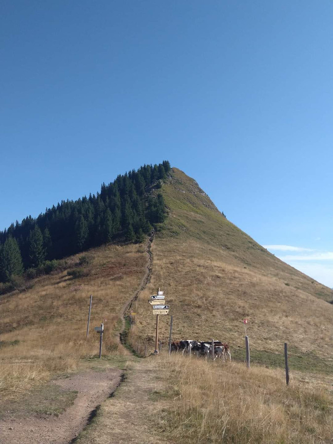 Ann (50) loopt 360 kilometer door Zwitserse Alpen en overwint 26.000 ...