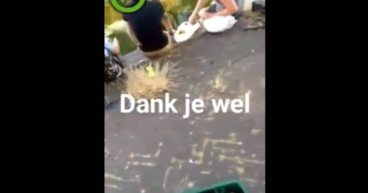 Hitvideo: rapper Steen steelt kratje bier van rockband Iguana Death ...