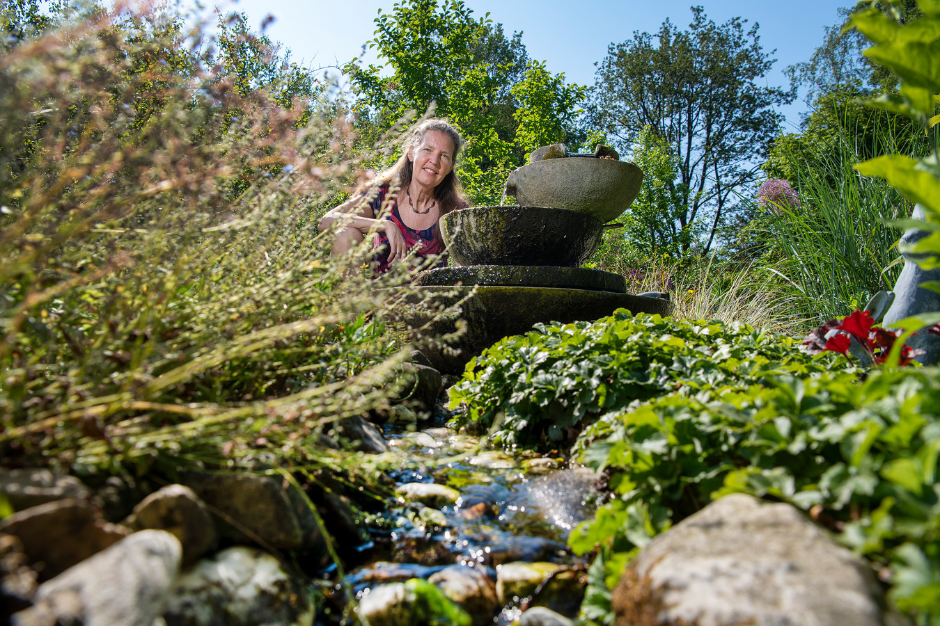 Anneke's tuin is 2000 vierkante meter groot, maar het gras sproeit ze ... Anneke's tuin is 2000 vierkante meter groot, maar het gras sproeit ze ...