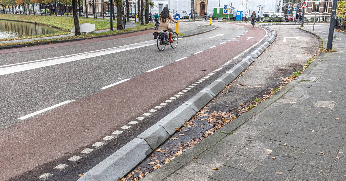 Gemeente komt tot inkeer, ‘onlogische’ varkensruggen worden verwijderd ...