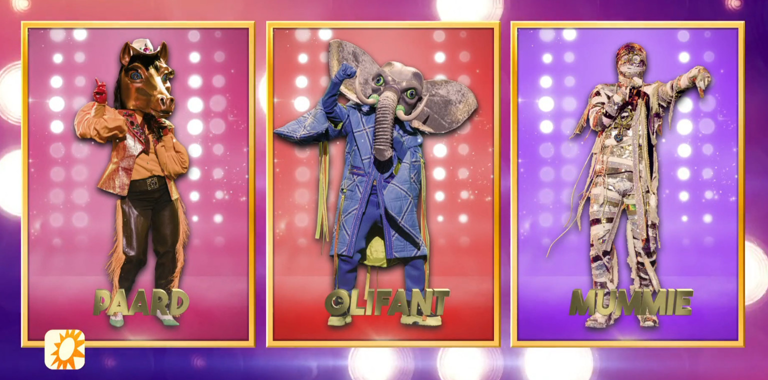 Dit zijn de vijftien karakters in het nieuwe seizoen van The Masked ...