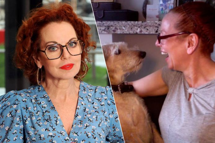 Opnieuw tegenslag voor zieke Els De Schepper: “Geen idee hoelang mijn ...