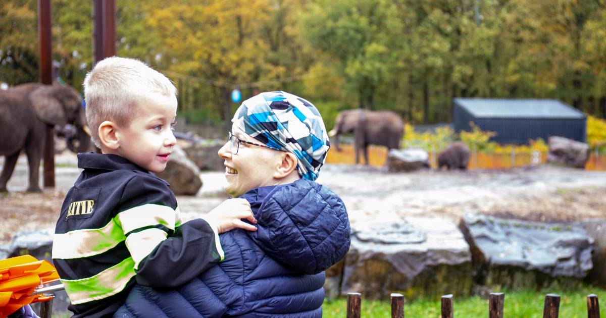 Droomdag in Ouwehands Dierenpark: ‘Misschien wel één van de laatste ...
