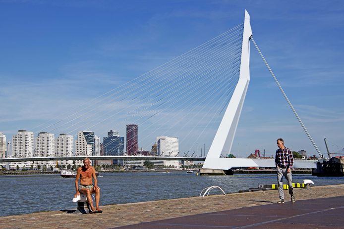 Rotterdam zet het op een ‘lopen’: gaststad voor voetgangerscongres ...