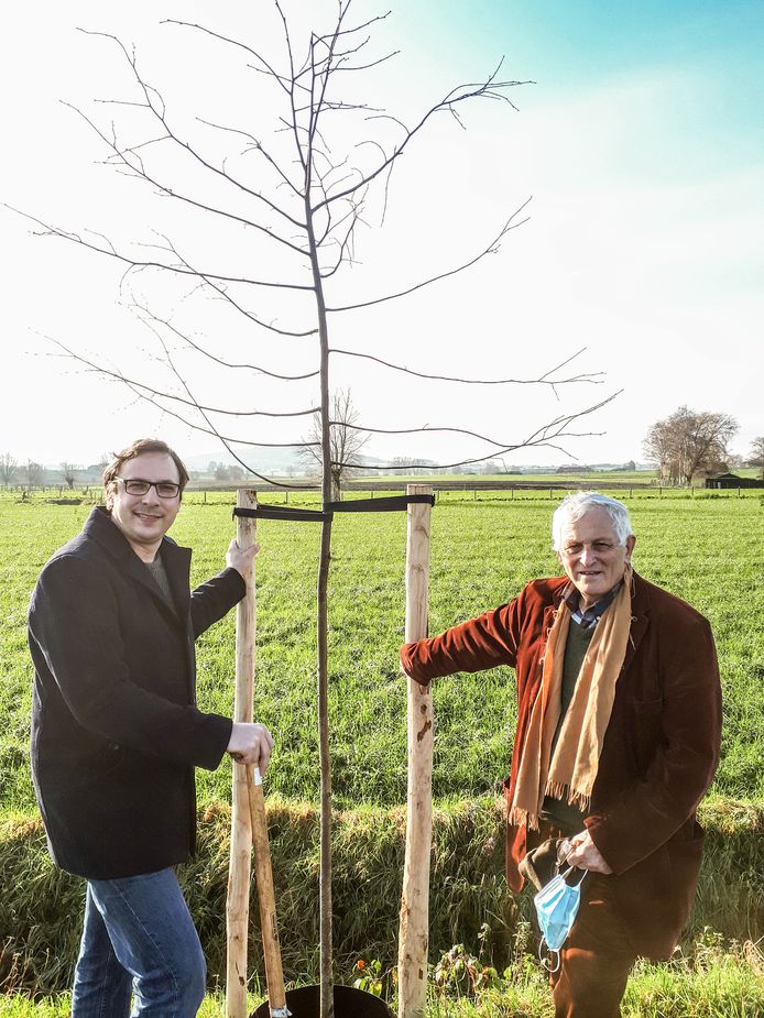 Heuvelland start grote boomplantactie : “We willen natuurgebieden aan ...