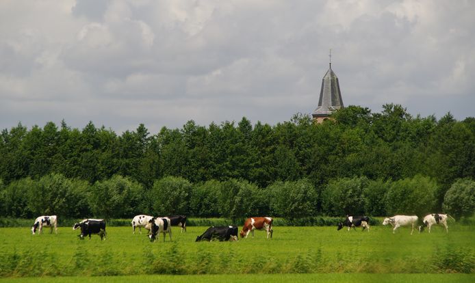 Afgeslankt programma op Open Monumentendag in Wijk bij Duurstede, Cothen en Langbroek | Utrecht ...