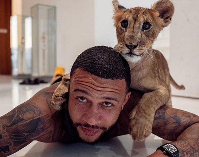 KIJK. “Walking my cat”: Rode Duivel Jason Denayer maakt in Dubai ...