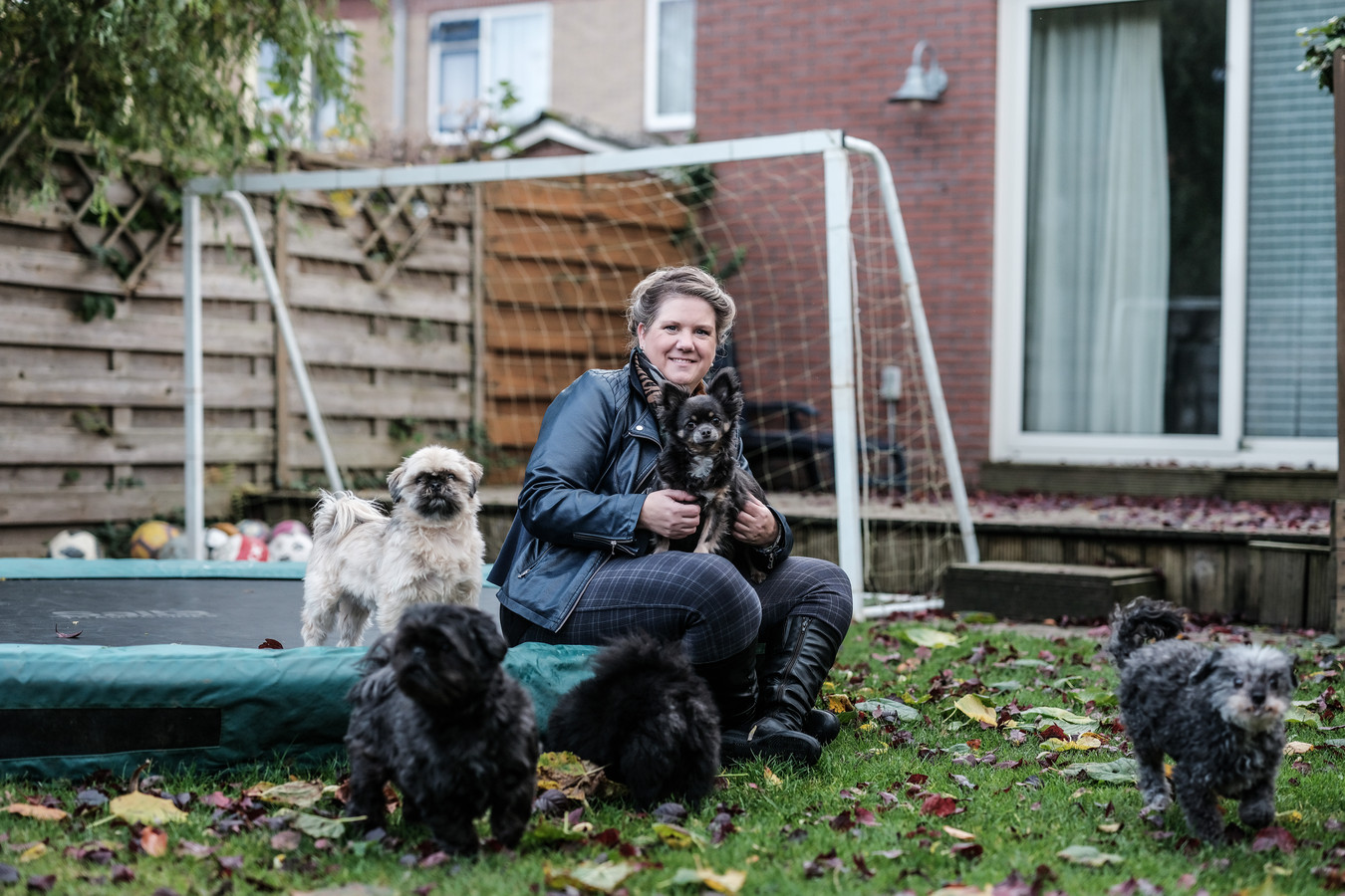 Nijpend gebrek aan dierenartsen laat sporen na in Achterhoek: ‘Midden ...