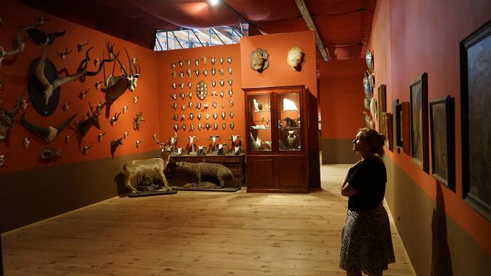 Verbeke Foundation, het meest eigenzinnige museum van het land, viert ...