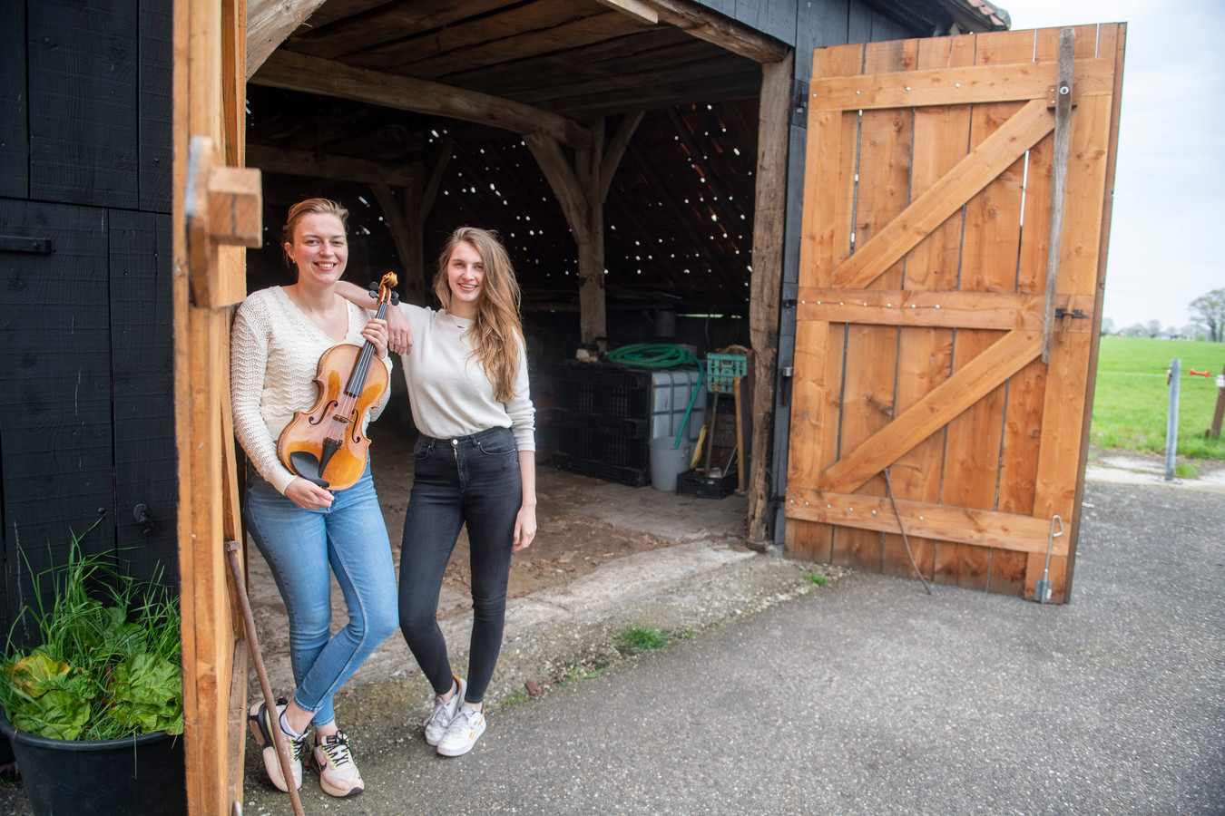 Hoe klinkt de natuur zonder insectengeluiden? Beleef het mee met Lotte ...