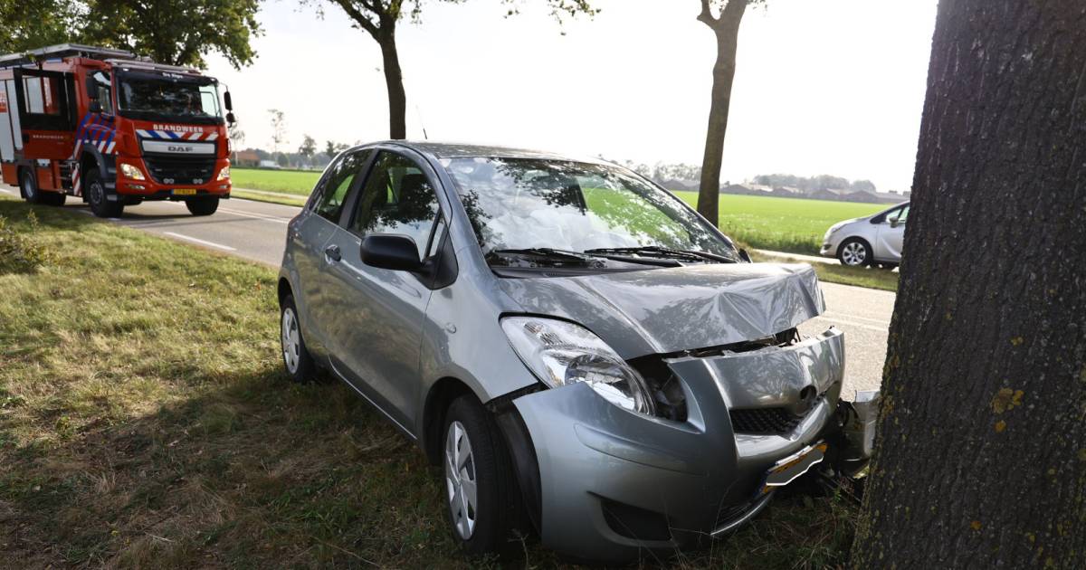 Automobilist knalt tegen boom na botsing met ander voertuig | Land van Cuijk | gelderlander.nl