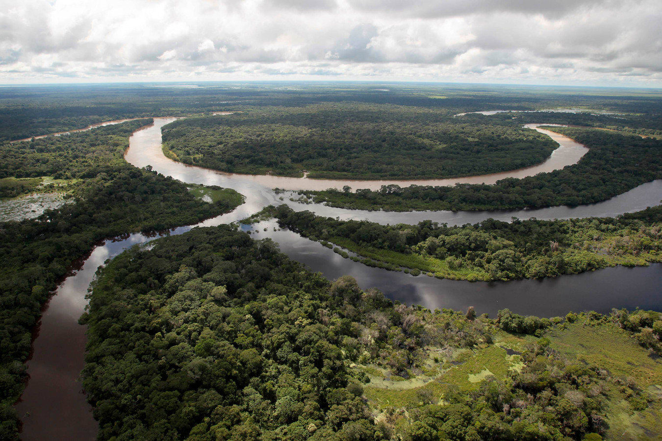 Groen licht voor wegen door Amazonewoud | Foto | hln.be
