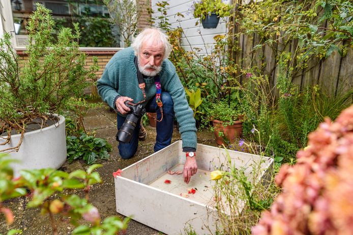 Kunstenaar Jan van Strien uit Hengelo kleurt het water en speelt met ...