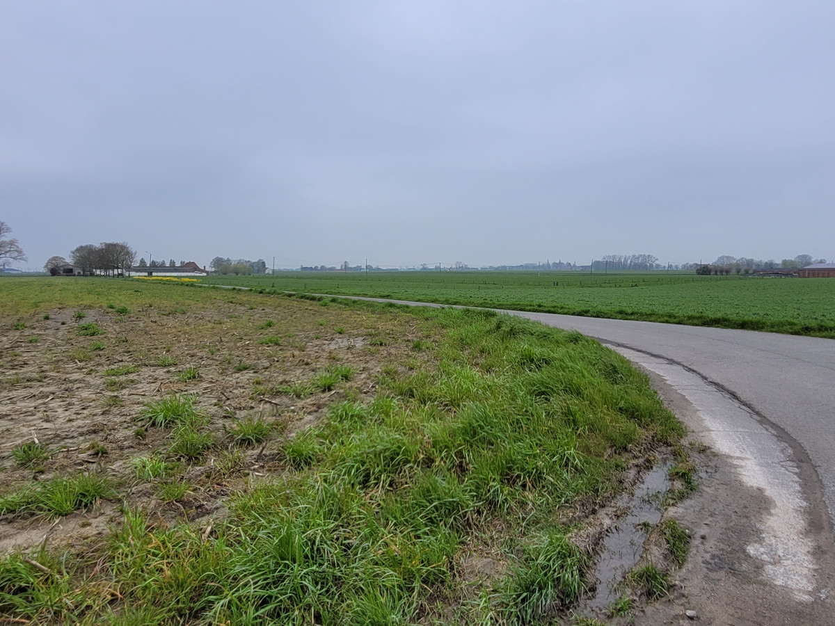 MIJN DORP. Het Schuiferskapelle van Patrick D’hont: “Heel wat Kapellenaars die een nieuwe wind ...
