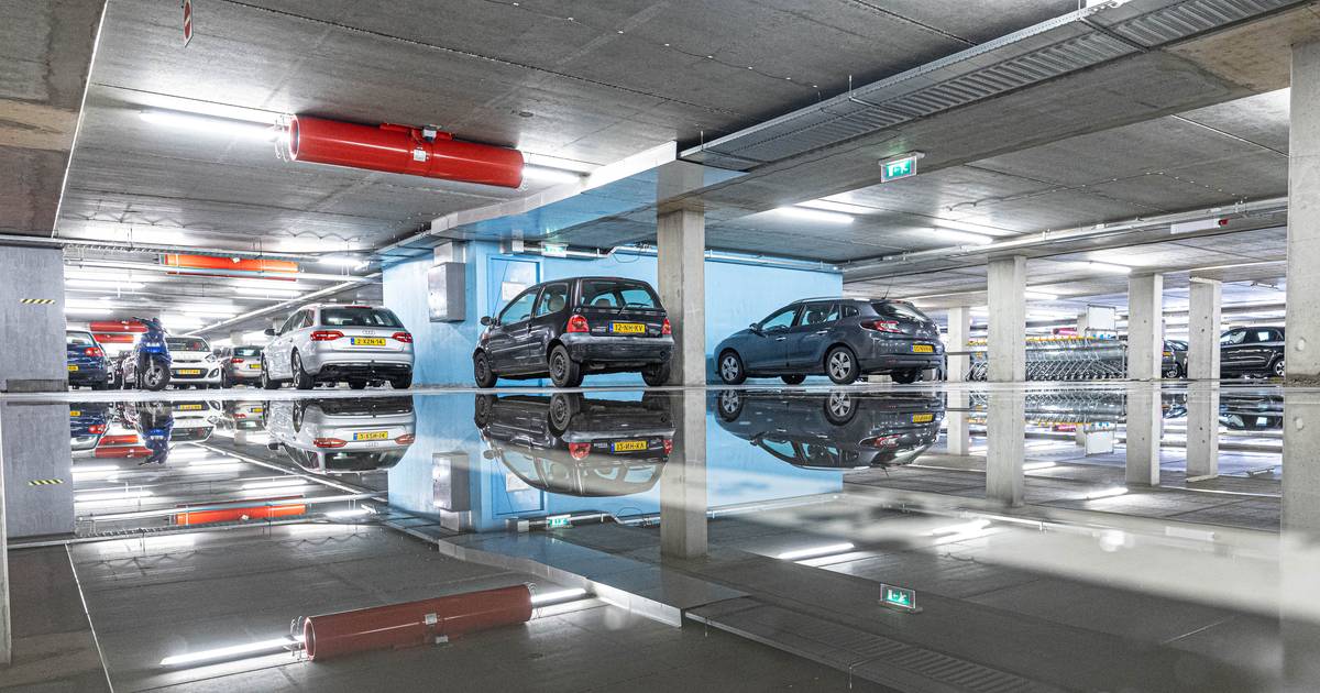 Zo parkeer je het goedkoopst in de stad | Auto | AD.nl