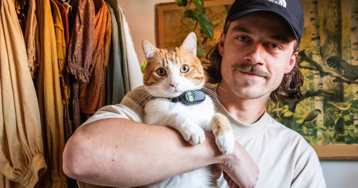 Deze kat uit Deventer draagt een halsband met camera en dat blijkt ...