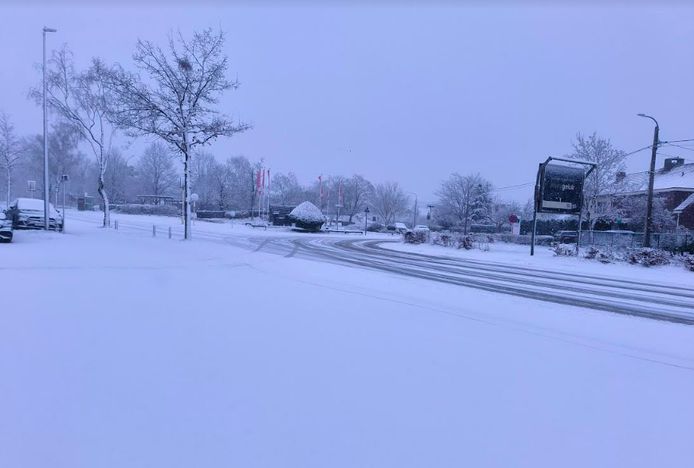 IN BEELD. Prachtige sneeuwtaferelen in Limburg, dierenwinkel maakt ...