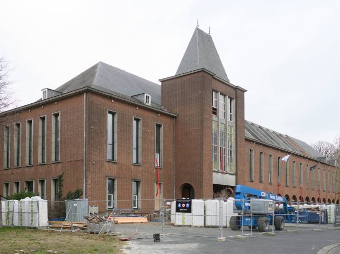 Lintse schepen komt op bij Vlaamse verkiezingen | Lint | hln.be