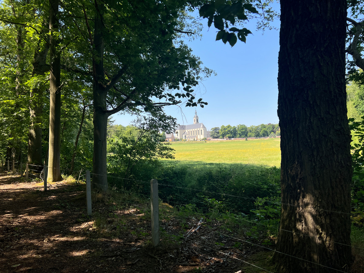 9,5 km lang genieten tussen uitgestrekte bossen: onze journaliste test ...