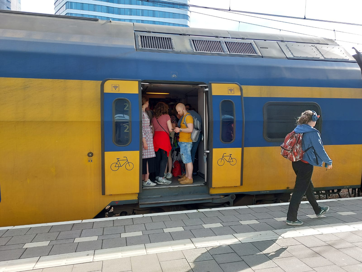 NS schrapt vanaf volgende maand fors in dienstregeling, waarschuwt voor ...