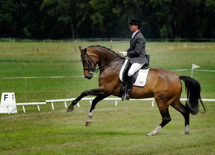 Ruiter uit Geesteren dicht bij eindstreep uitbreiding paardenhouderij ...