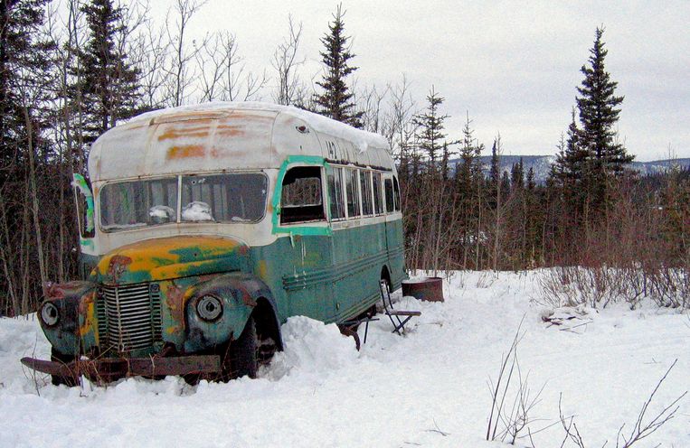 Troost in coronatijden: de keelgrijpende film ‘Into the wild’