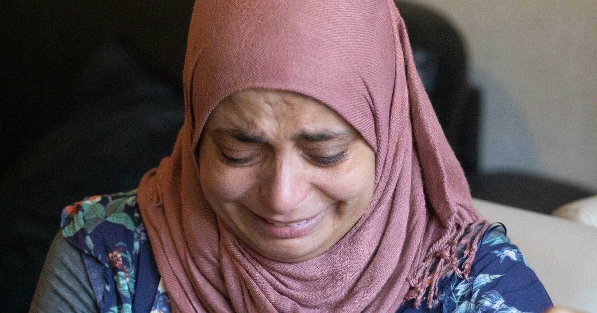 Man opgepakt die Hasseltse kinderen naar Egypte ontvoerde: “Ik hoop ...